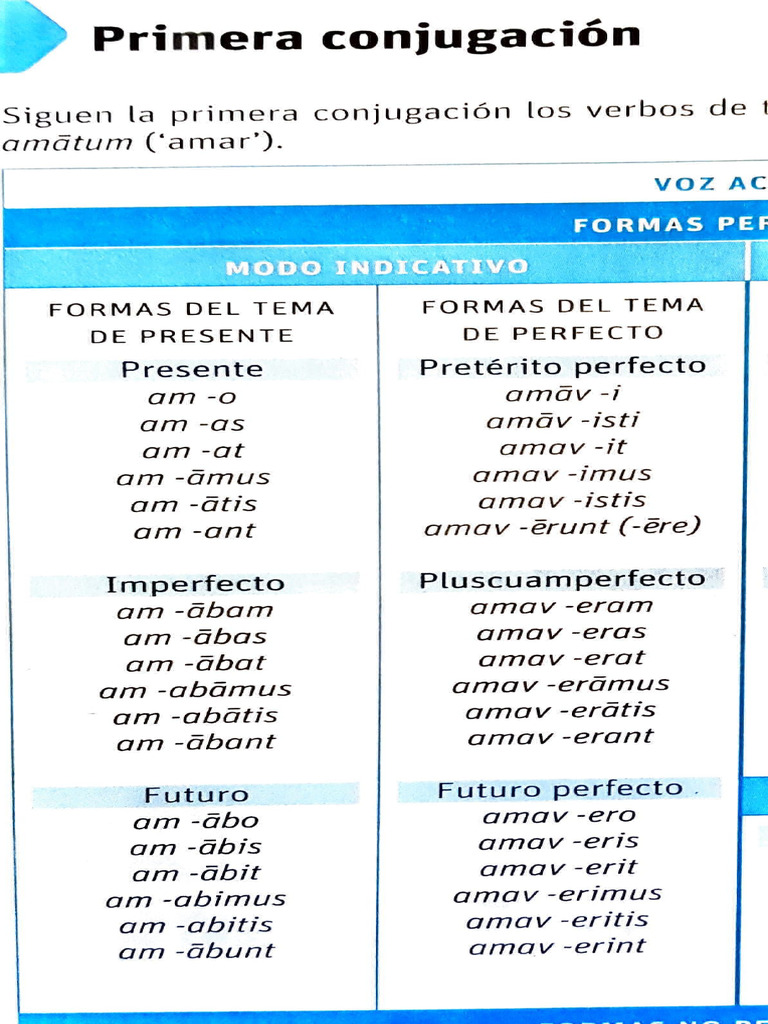 Verbos de la Primera Conjugación | PDF
