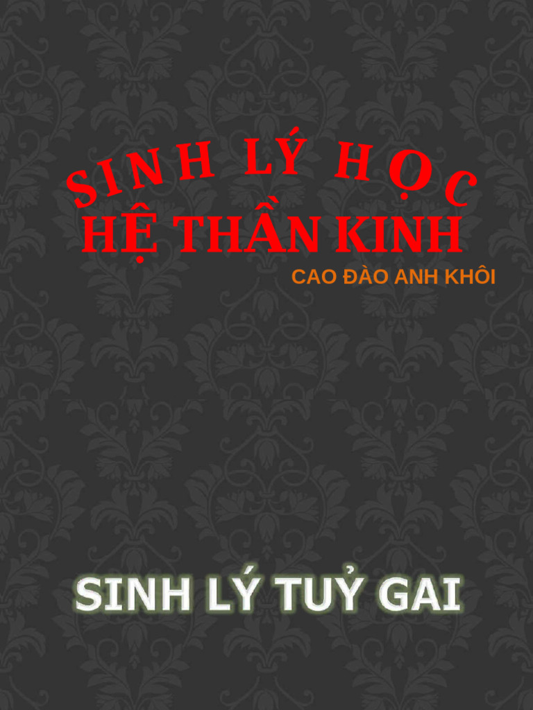CKI - T y Gai | PDF