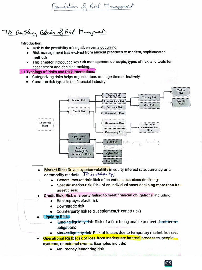 Foundations of Risk Management | PDF