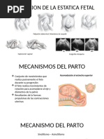 Fase de Expulsión en el Parto | PDF | Parto | Reproducción humana