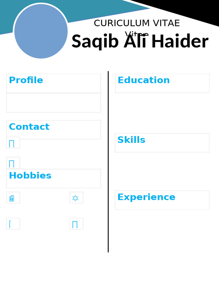 Saqib Ali Haider's CV Overview | PDF