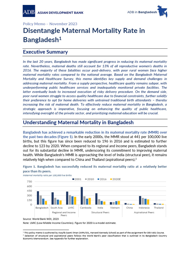 Policy Memo - Bangladesh Maternal Mortality Rate | PDF | Maternal Death ...