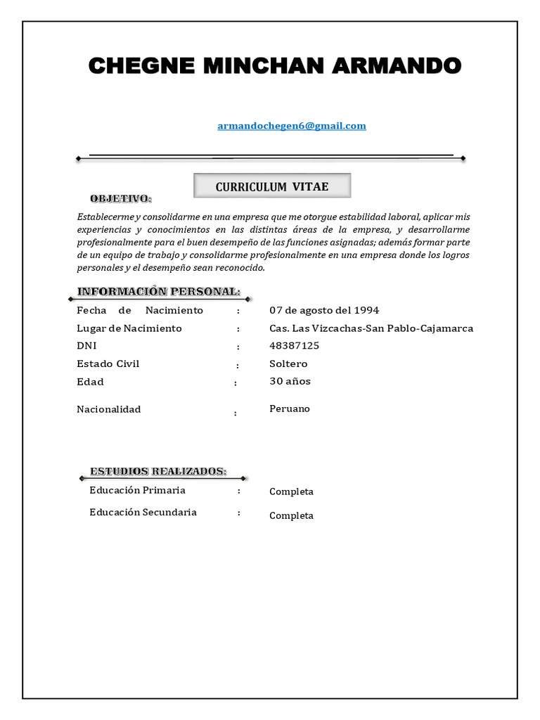 Chegne Minchan Armando CV 2024 | PDF
