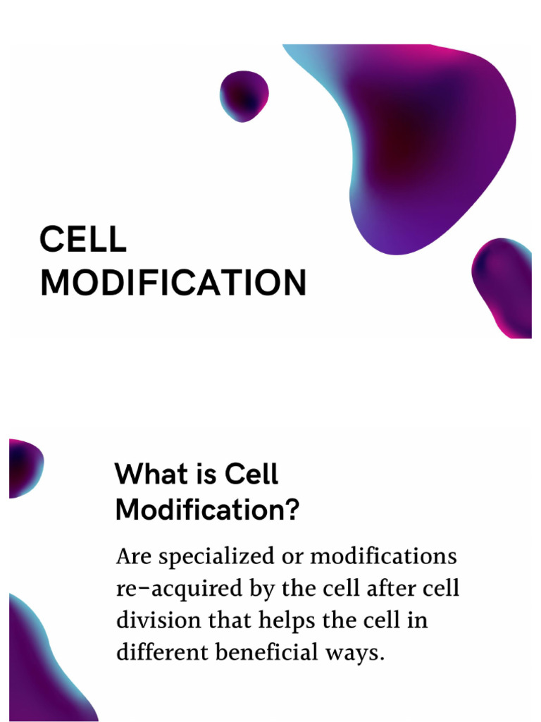 Cell Modification 3 | PDF