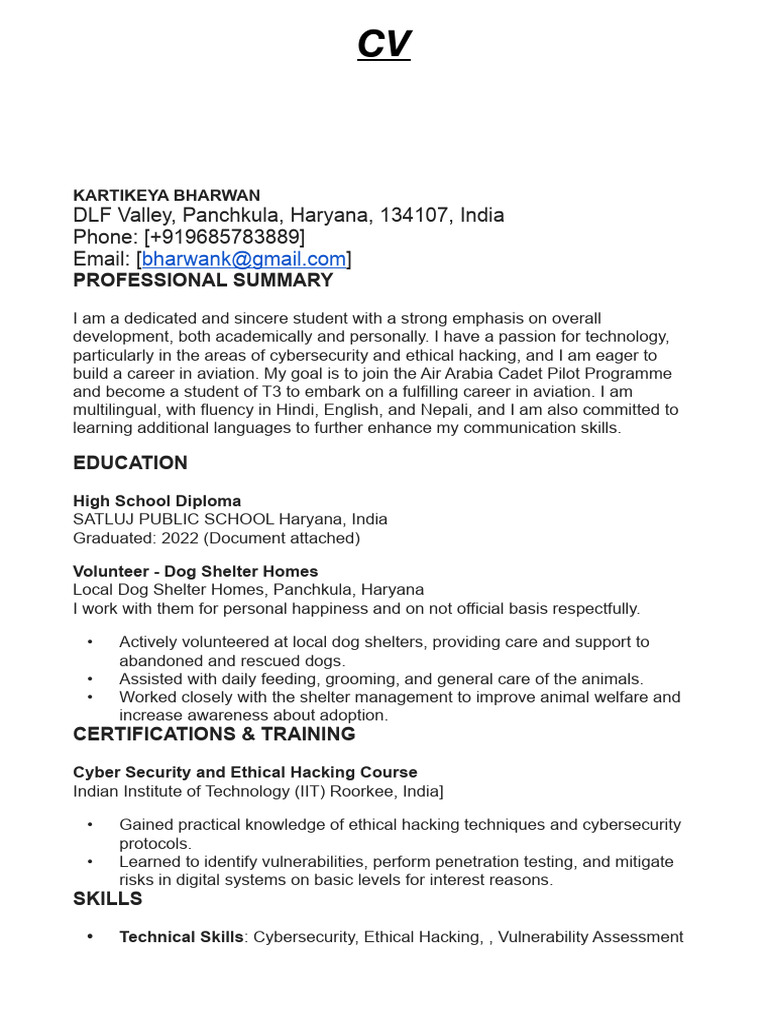 CV | PDF | Computer Security | Security