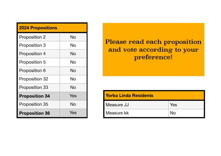 2024 Voter Guide | PDF