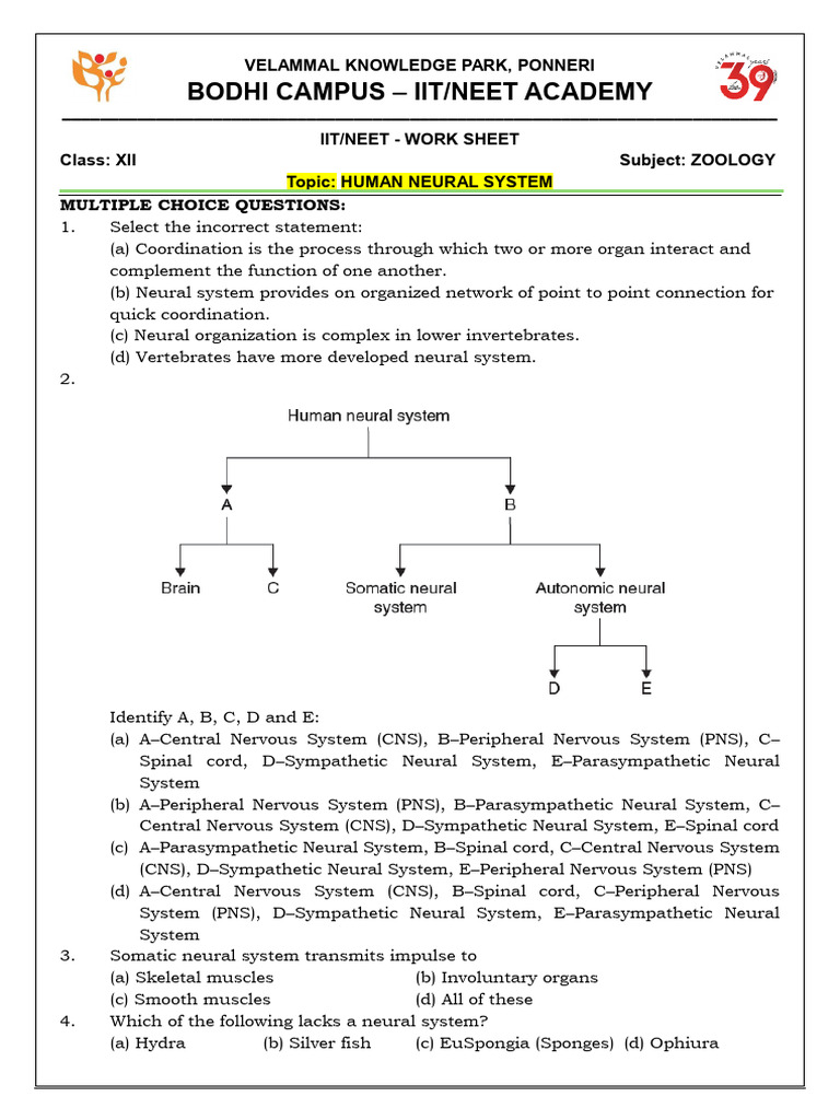 Neural Control Coordination - Zoology - NEET Work Sheet | PDF ...