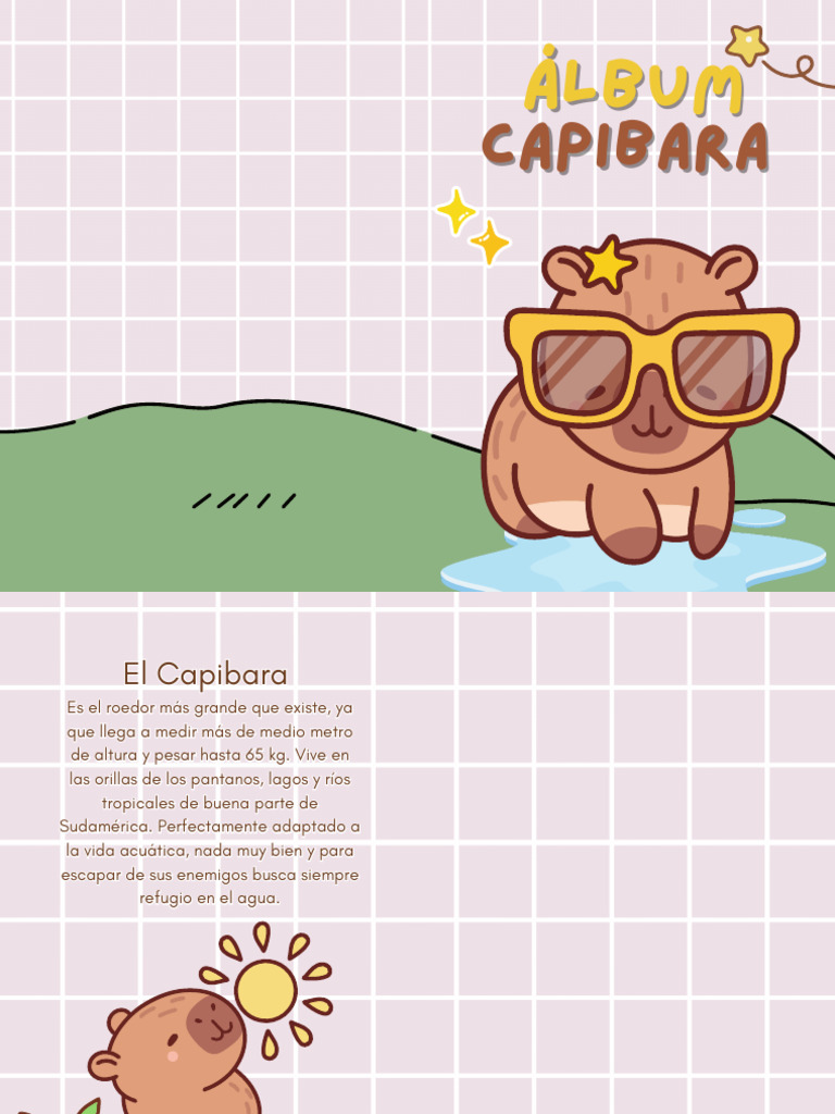 Álbum Capibara | PDF