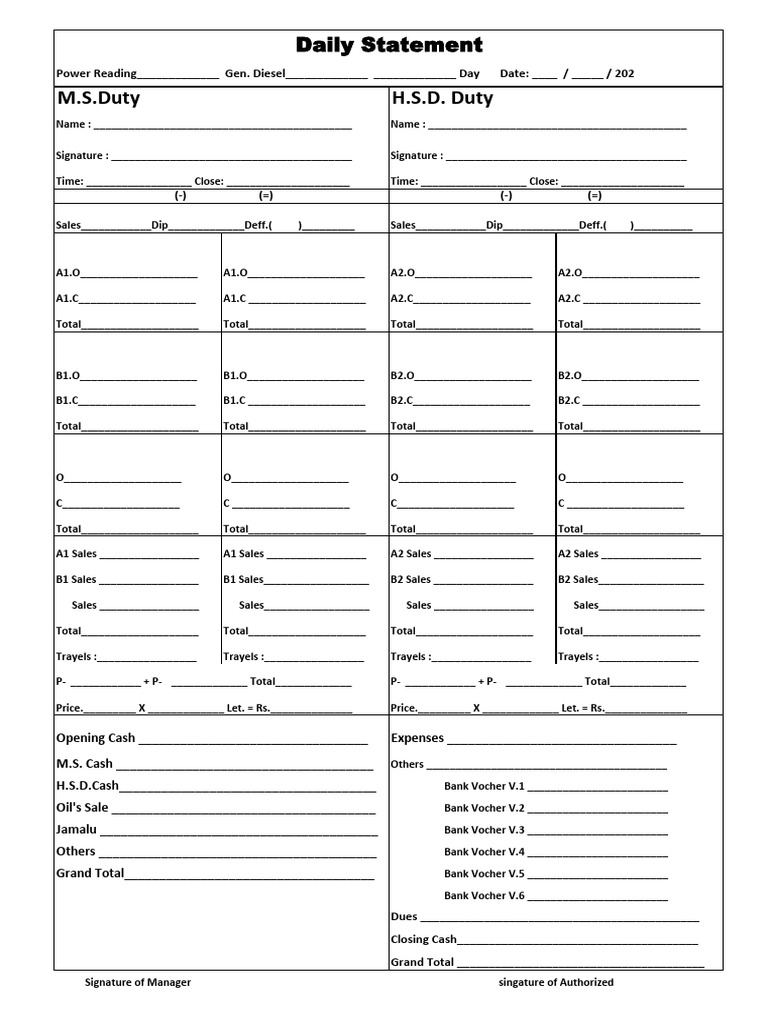 DAILY STATEMENT | PDF