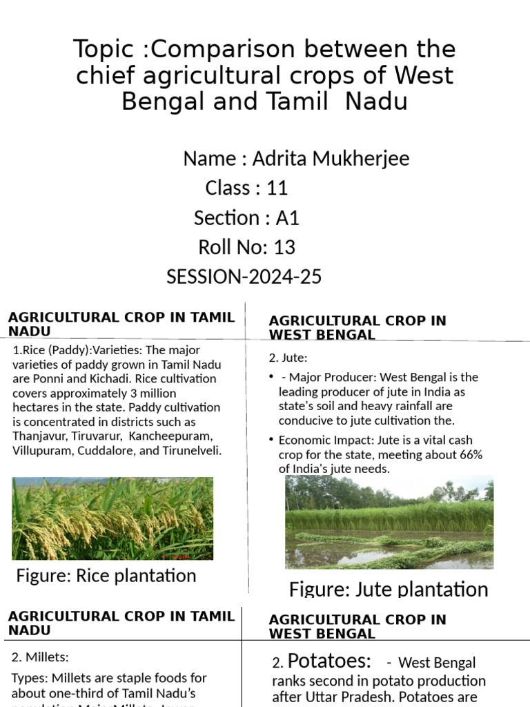 Biology Ail | PDF | Tamil Nadu | Legume