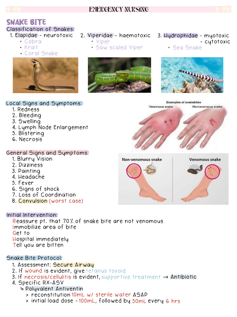 Snake Bite Prelims en | PDF
