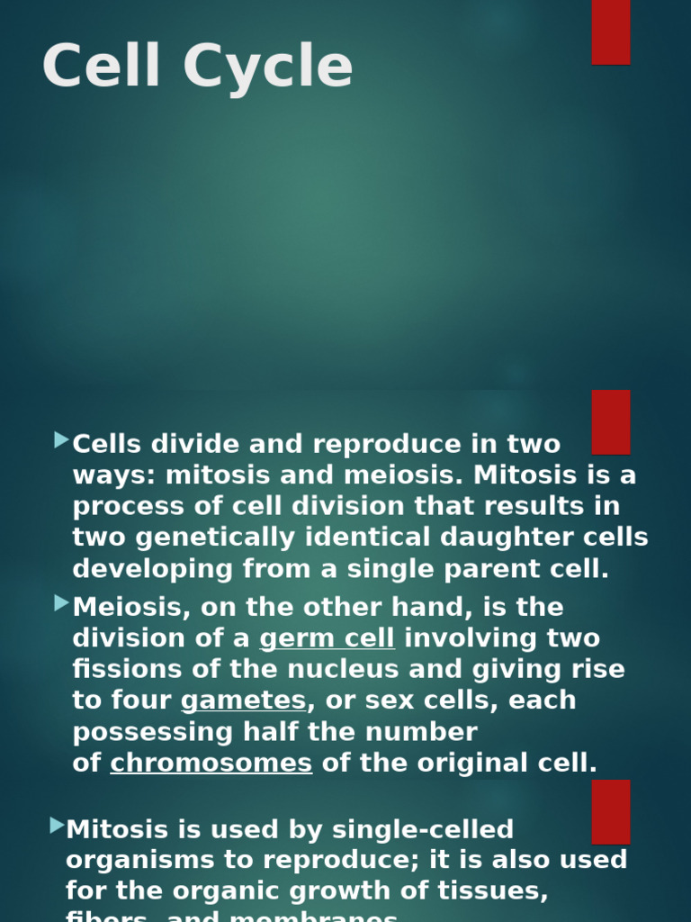 Understanding Mitosis and Meiosis | PDF | Mitosis | Meiosis