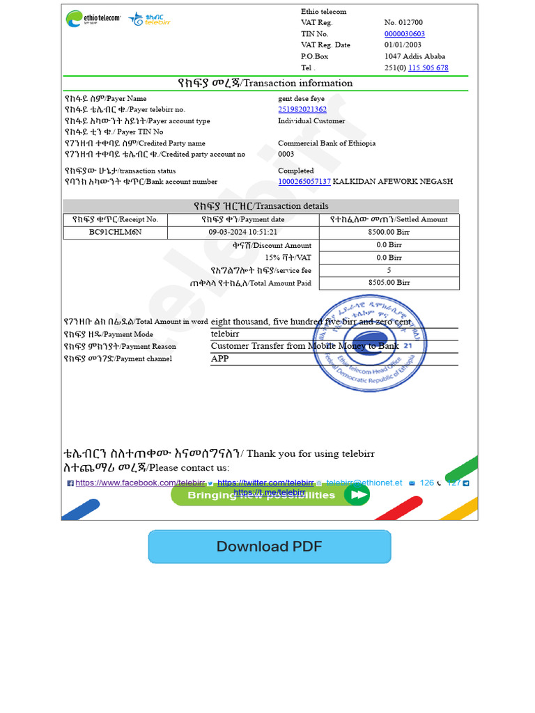 Telebirr Receipt | PDF