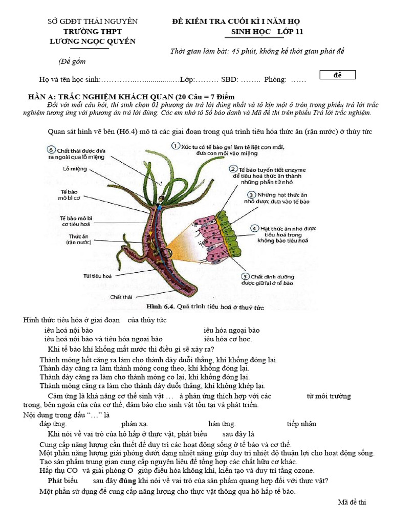 Sinh Ck1 Thái Nguyên | PDF