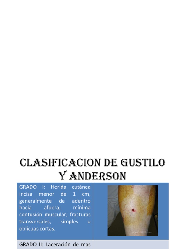 Gustilo y Anderson | PDF