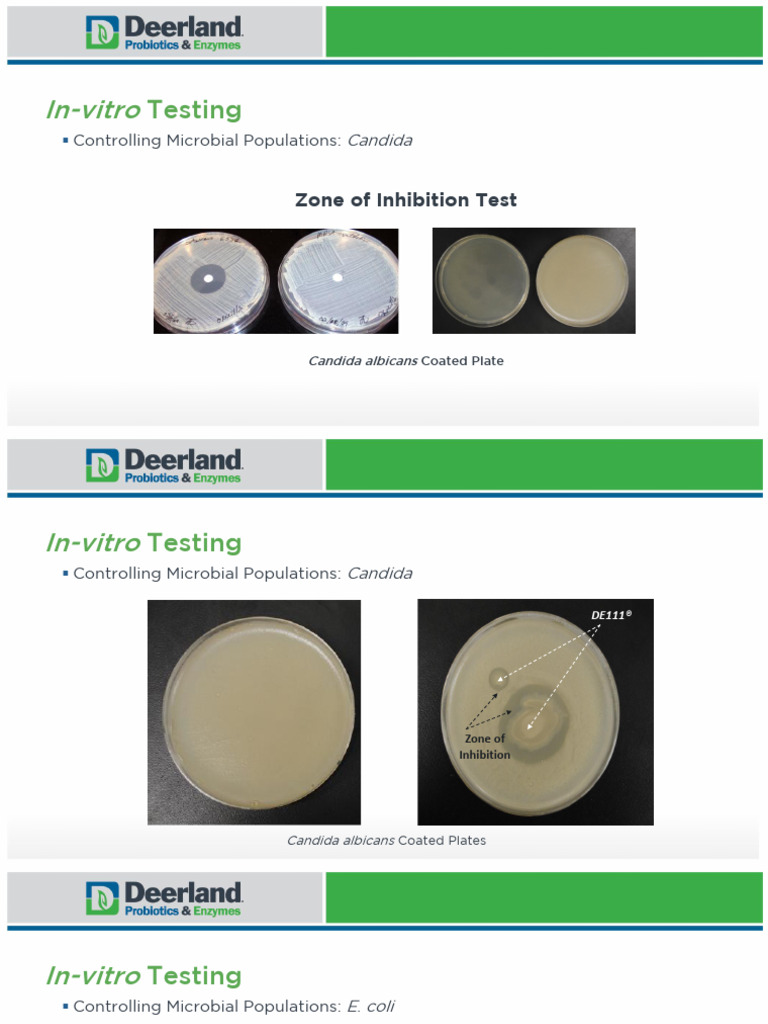 Slides from DE111 Presentation for Happy V | PDF