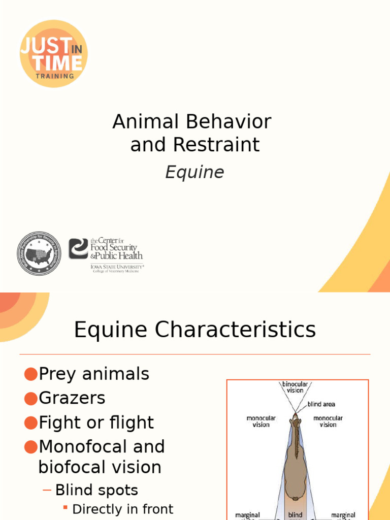 Equine Behavior and Restraint Guide | PDF | Horses | Zoology