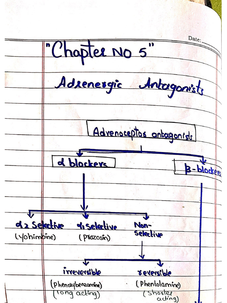 Adrenergic Antagonist | PDF