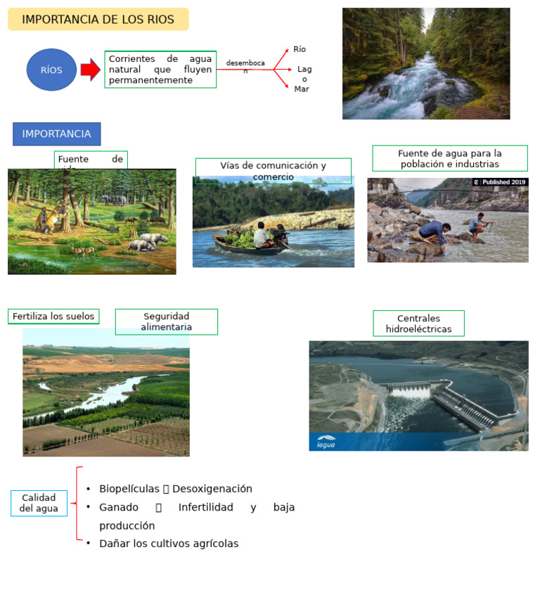 Importancia Vital de los Ríos | PDF