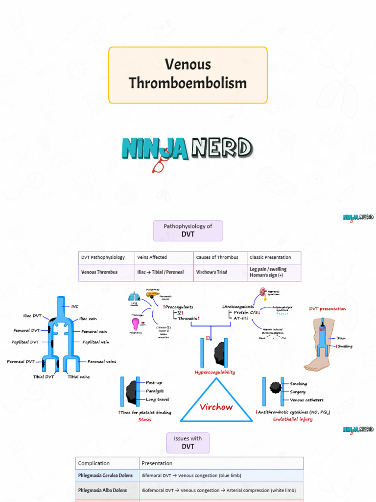 12• Venous Thromboembolism [Slides] | PDF | Vein | Thrombosis
