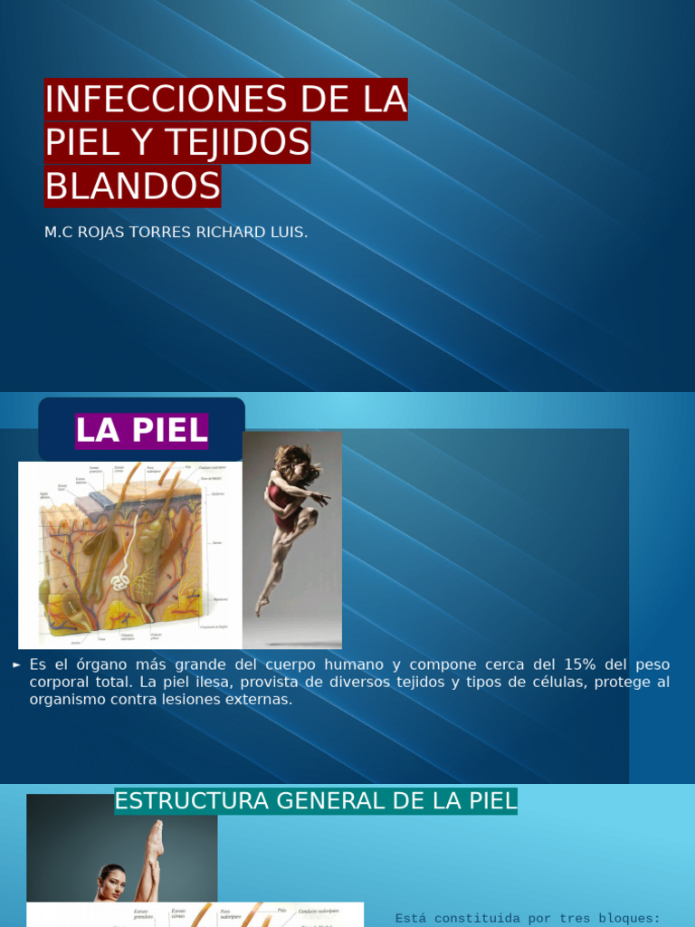Infecciones de Piel y Tejidos: Causas y Tratamientos | PDF | Epidermis | Piel