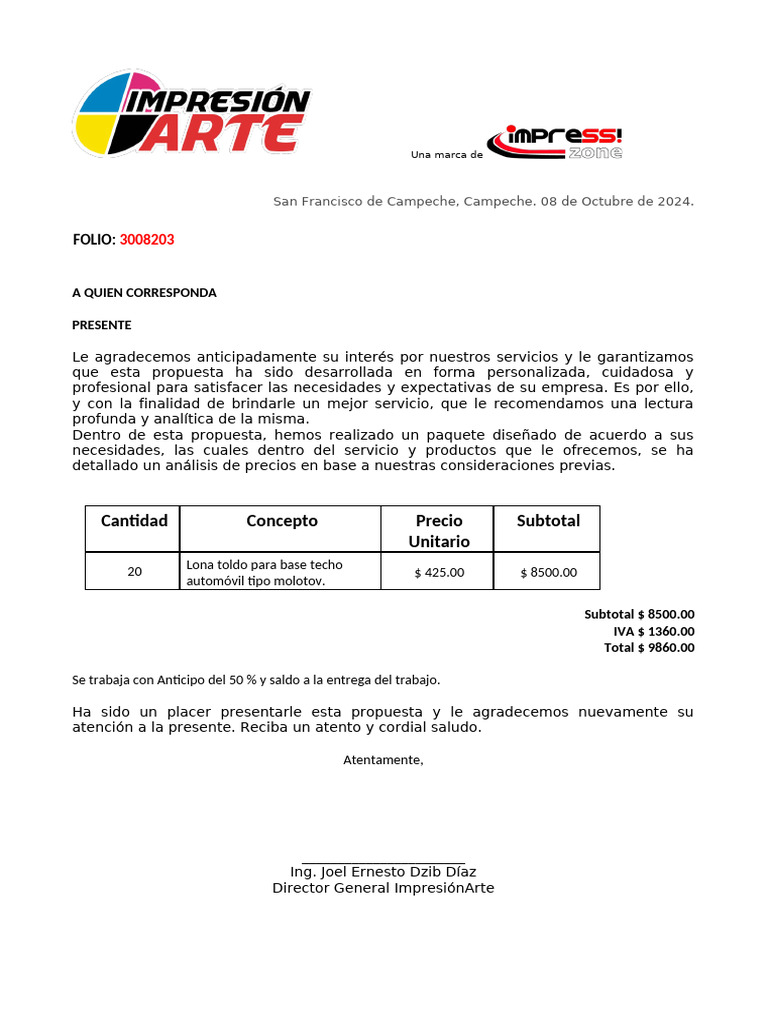 Coti 20 Lonas Techo Molotov | PDF