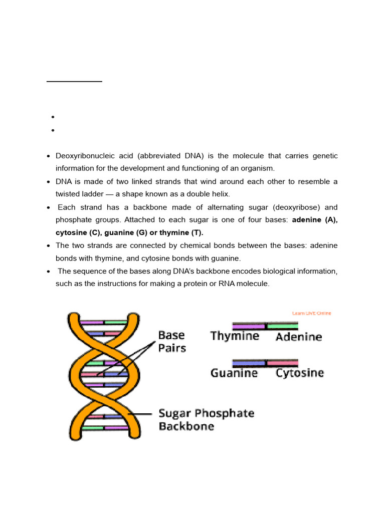 Plant DNA Isolation Guide | PDF