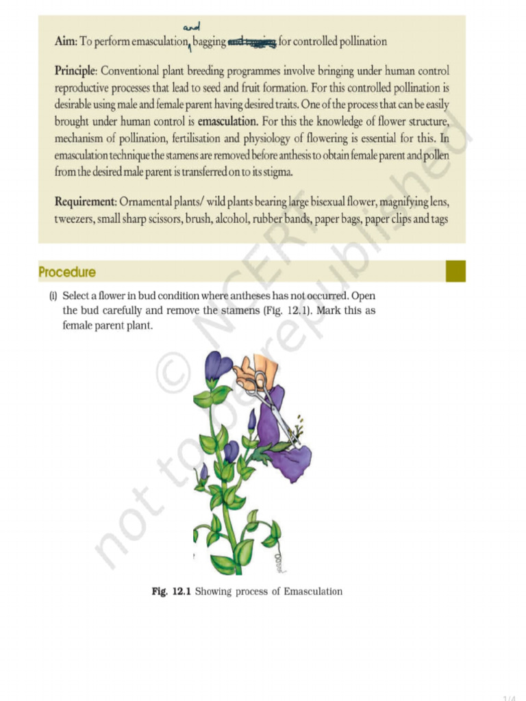 Experiment 15 | PDF | Flowers | Pollination