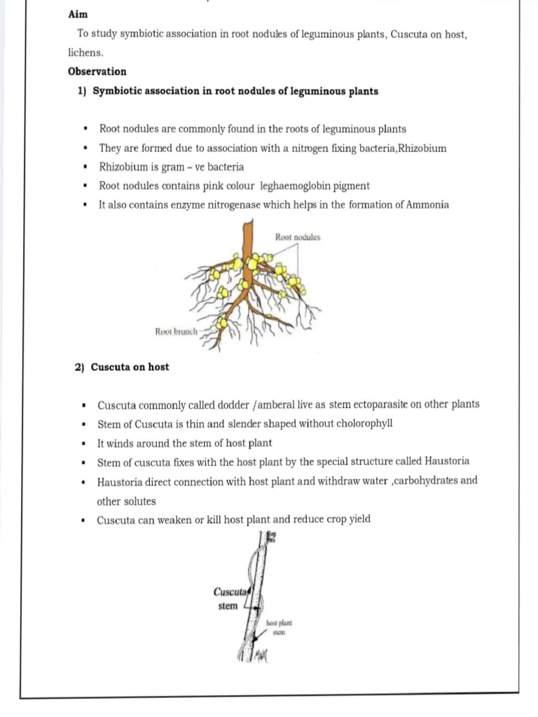 Experiment 16 Pdf