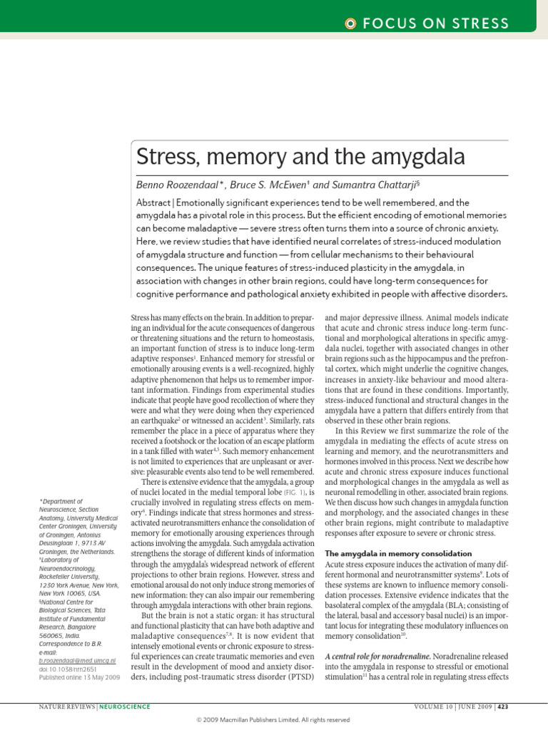 nrn2651 | PDF | Amygdala | Memory