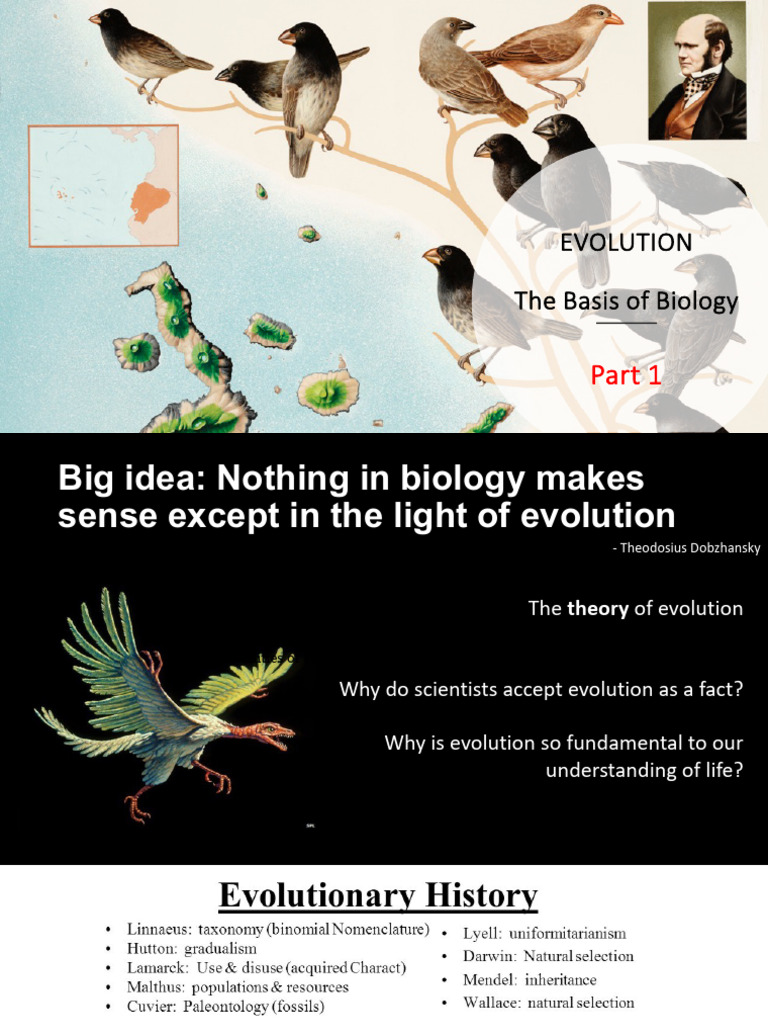 6 Evolution I 2024 | PDF | Evolution | Natural Selection