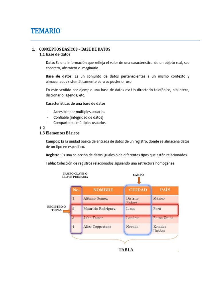 Temario 1 Conceptos Basicos Base de Dato | PDF | Bases de datos | Postgre Sql