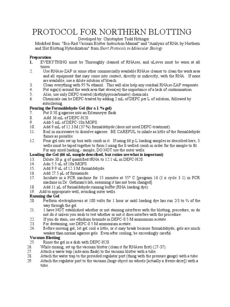 NORTHERN BLOT PROTOCOL | PDF | Northern Blot | Agarose Gel Electrophoresis