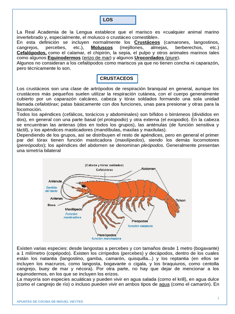 Tipos de Mariscos: Crustáceos y Moluscos | PDF | Crustáceo | Bivalvia