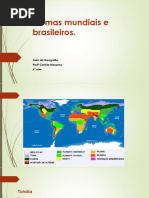 Capa Trabalho Ciencias Bioma Brasileiro | PDF