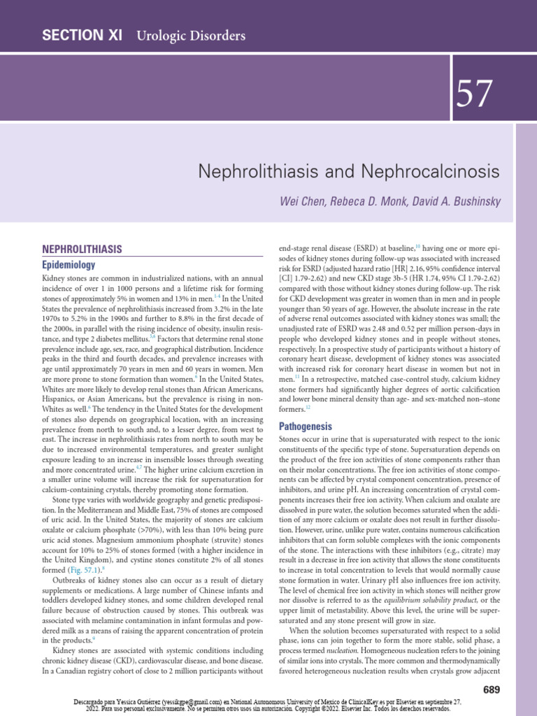NEFROLITIASIS | PDF | Kidney | Diseases And Disorders
