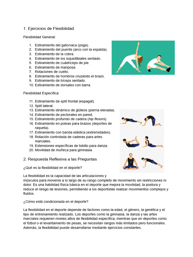Ejercicios de flexibilidad | PDF | Flexibilidad (anatomía) | Sistema ...