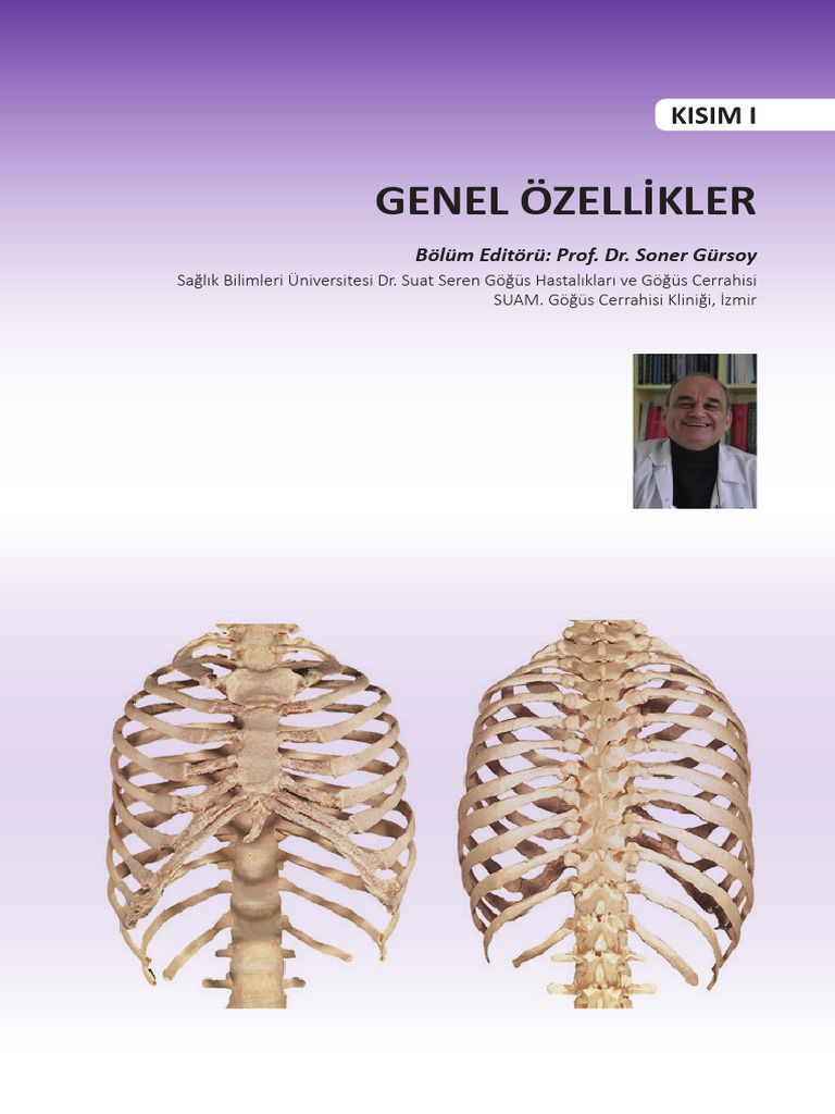 KISIM 1 GENEL OZELLIKLER BOLUM 1 Gogus Duvari Anatomisi Ve Topografik ...