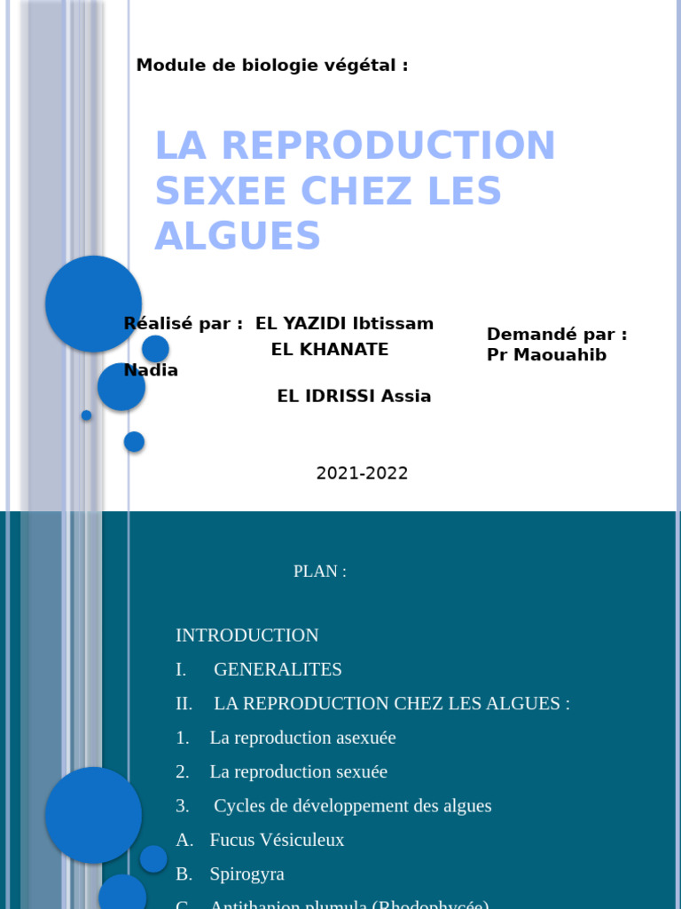 La Reproduction Sexee Chez Les Algues | PDF | Biologie | la reproduction