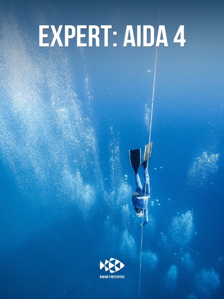 AIDA 4 FLYER 2024 | PDF | Underwater Diving