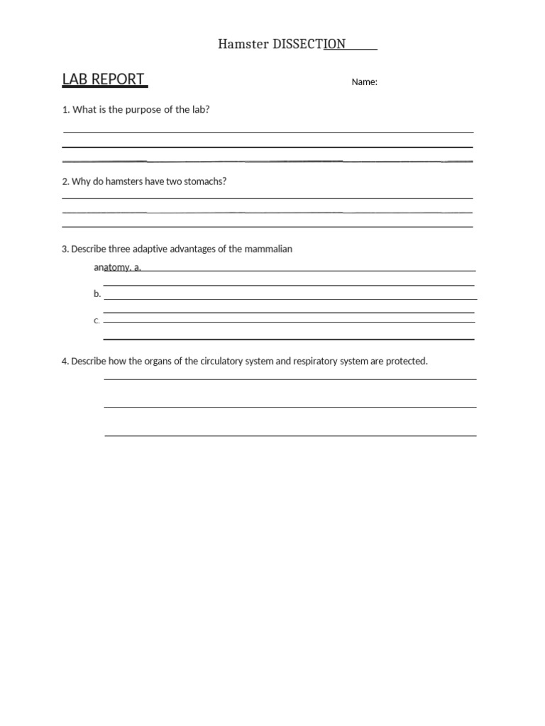 Hamster Dissection Lab Report | PDF