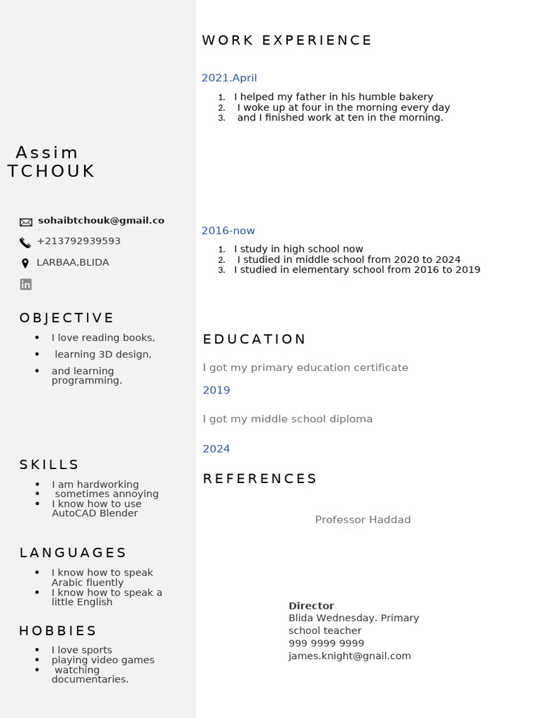 144 Modele CV en Anglais | PDF