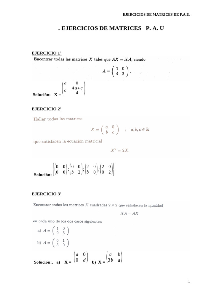 EJERCICIOS-MATRICES Tema1 | PDF | Matriz (Matemáticas) | Objetos matemáticos
