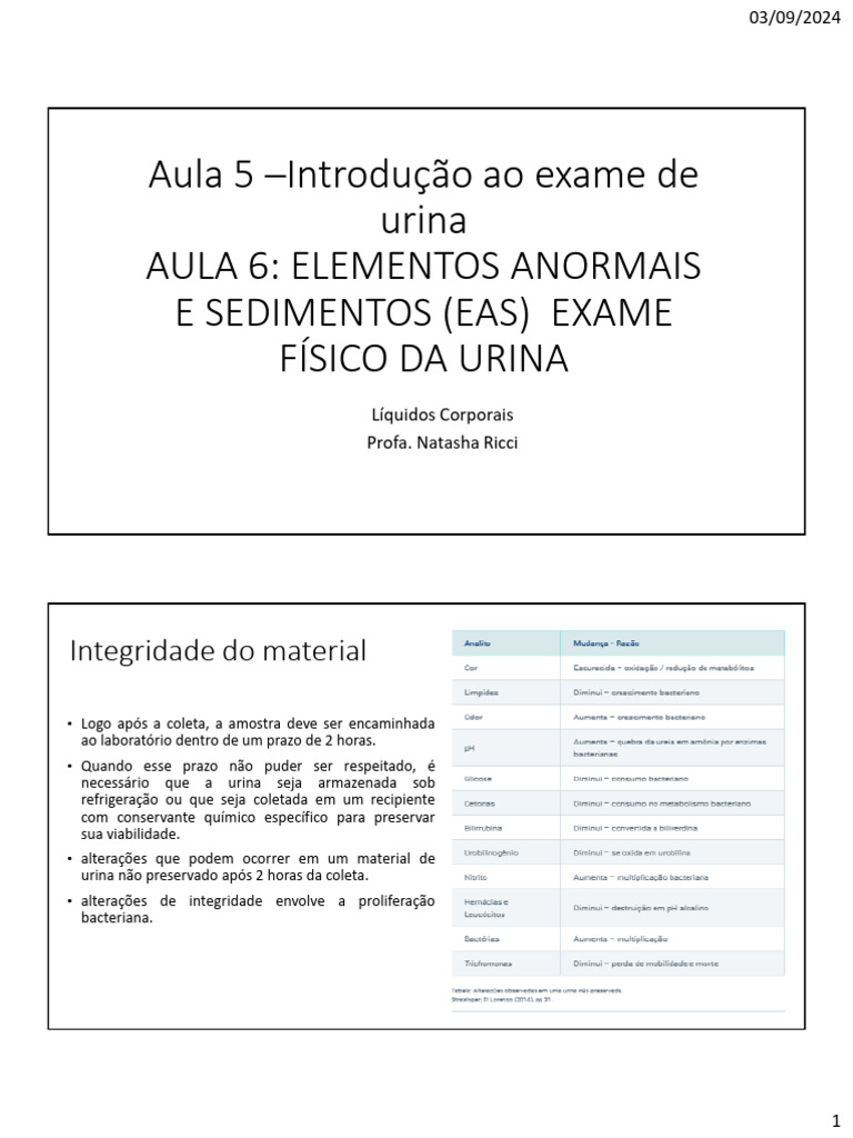 Aula 5 e 6 Introdu o Ao Exame de Urina 2024-2 | PDF | Sistema urinário | Especialidades médicas