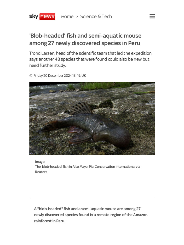 New Species Discovered in Peru's Amazon | PDF | Ecology | Organisms