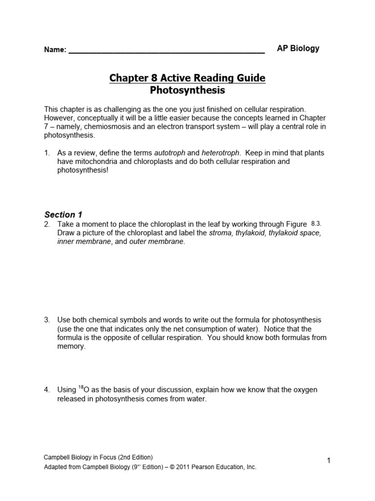 Chapter 8 Active Reading Guide | PDF | Photosynthesis | Chemistry