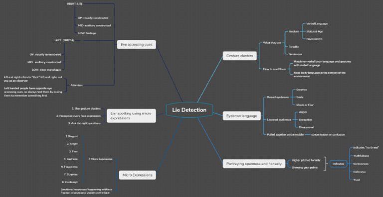 Catch The Liar Mindmap | PDF