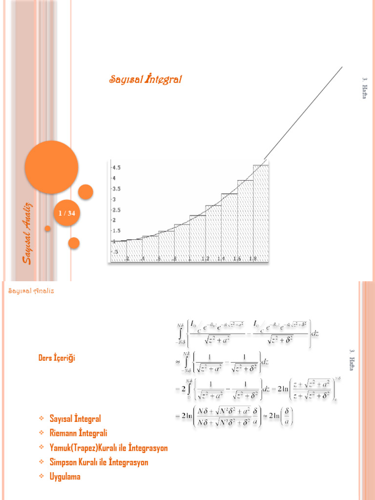 &MAT217_H10 [Say Sal_ Ntegral] | PDF