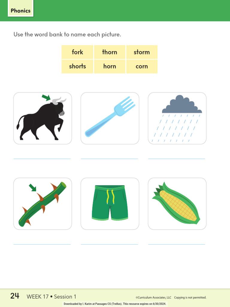 03:11:24 Workbook #1 PHONICS MAGNETIC IREADY | PDF