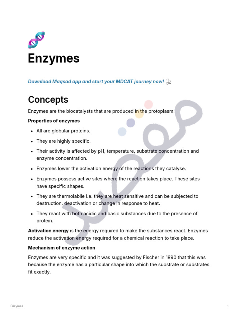 Enzymes | PDF | Enzyme | Active Site